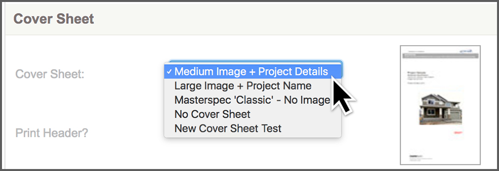 How to print specific sections - Masterspec